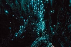 Top 20 Must-Do Experiences in Aotearoa – New Zealand: Your Ultimate ...