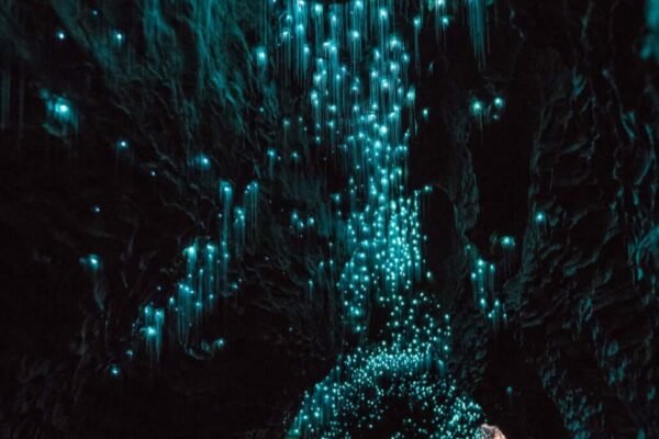 Top 20 Must-Do Experiences in Aotearoa – New Zealand: Your Ultimate ...