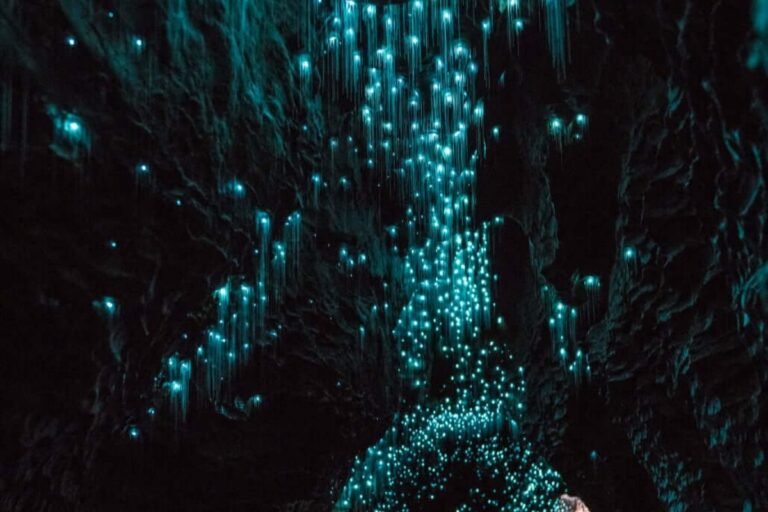 Top 20 Must-Do Experiences in Aotearoa – New Zealand: Your Ultimate ...