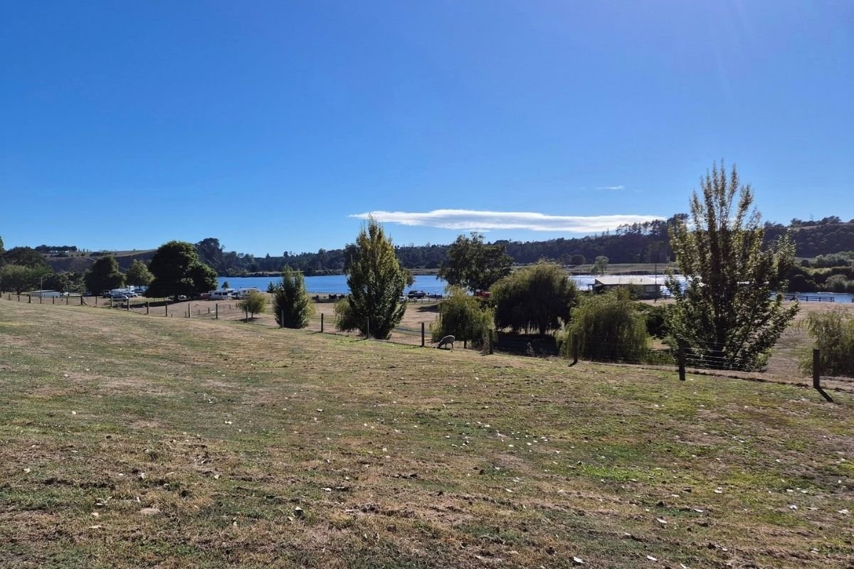Exploring the Mighty Waikato: A Land of Rivers, Culture, and Natural ...
