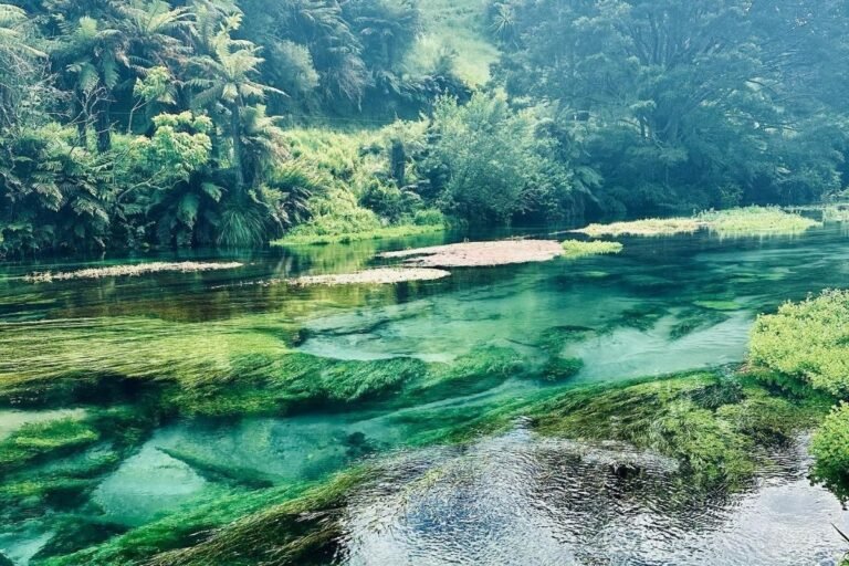 Exploring the Mighty Waikato: A Land of Rivers, Culture, and Natural ...