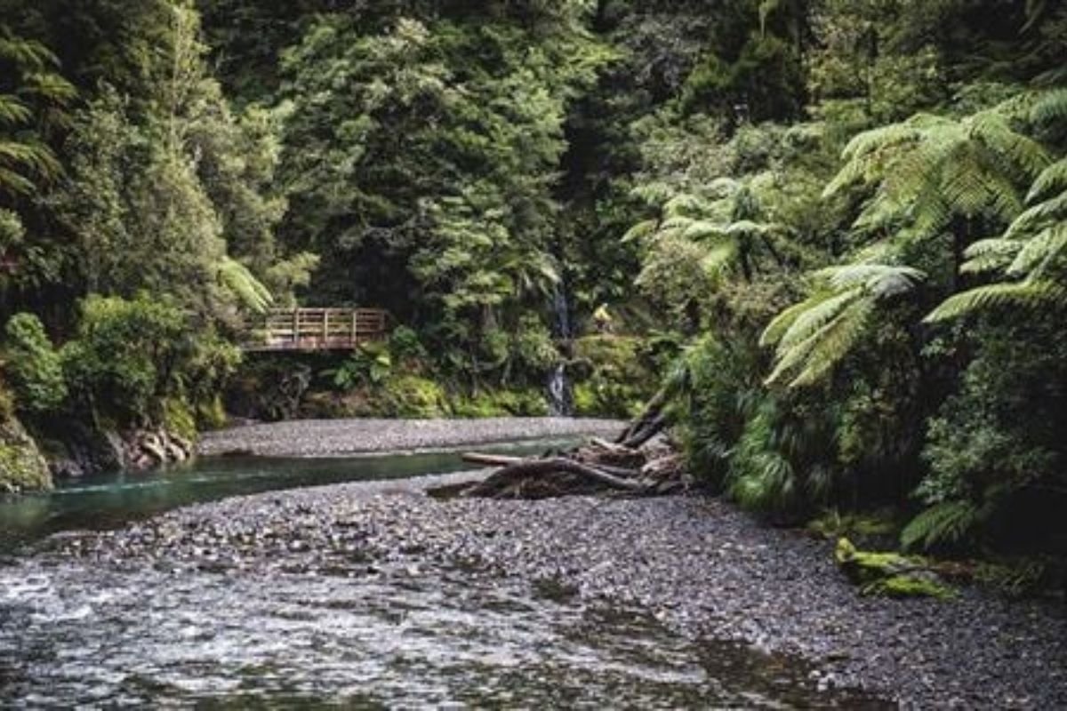 Discovering Te Tai Rāwhiti – East Coast of Aotearoa – New Zealand ...