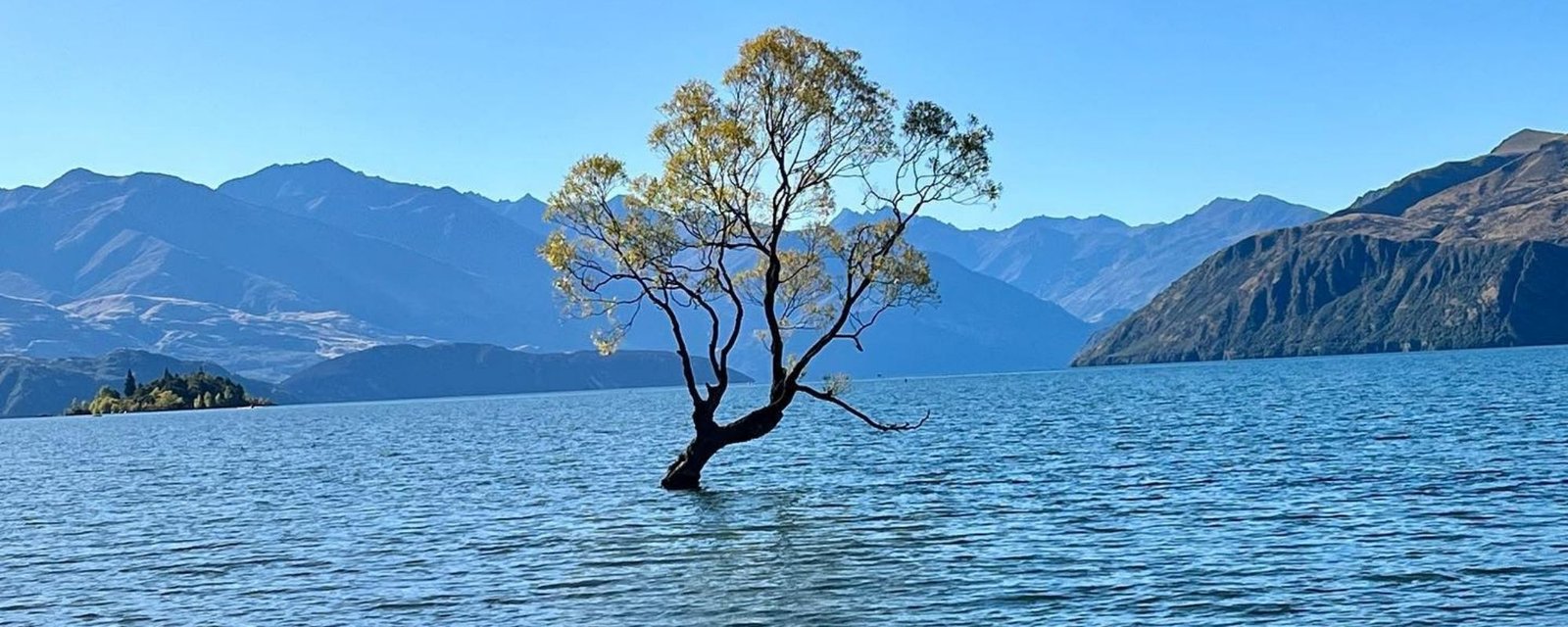 Exploring the Mighty Waikato: A Land of Rivers, Culture, and Natural ...