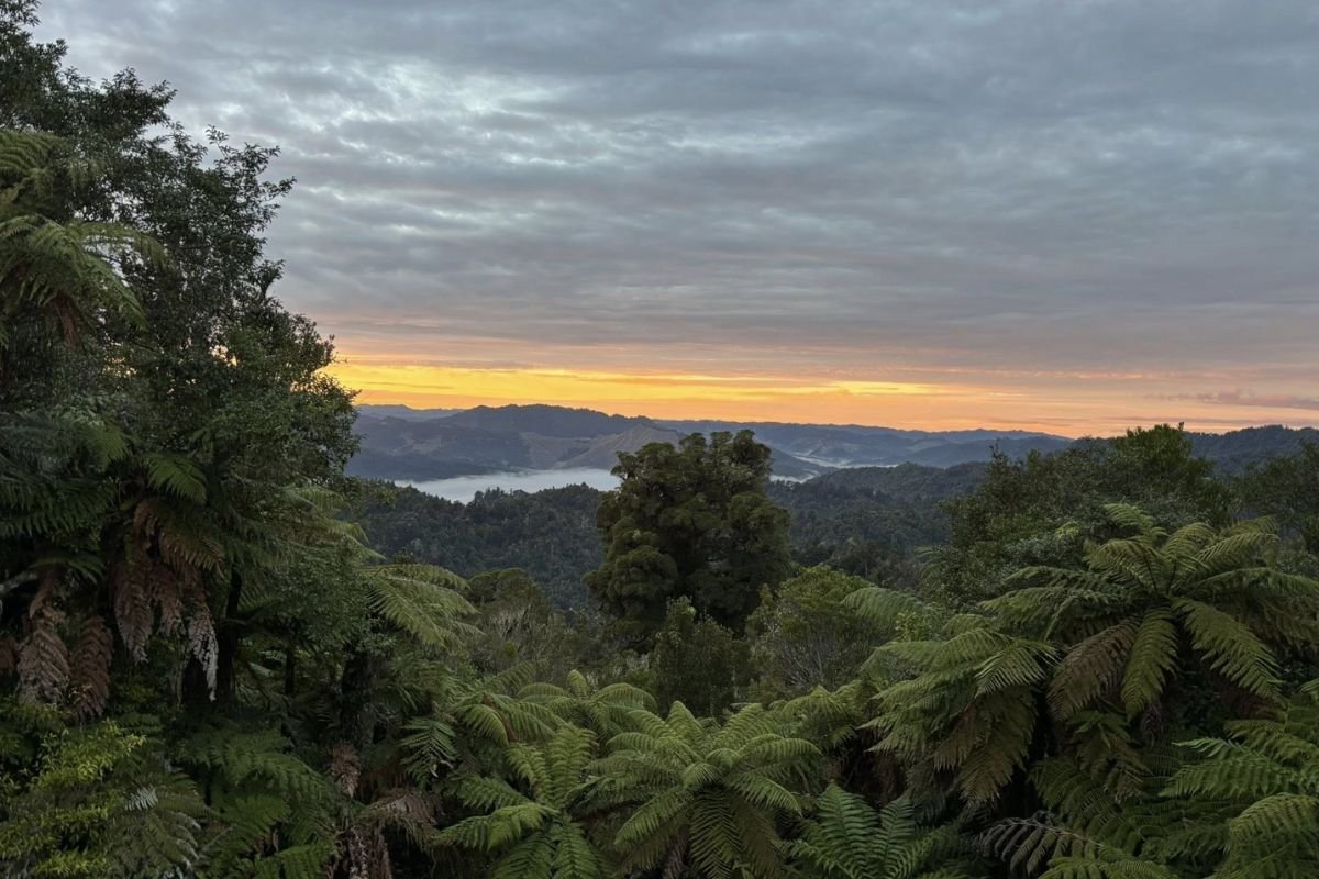 Exploring Whanganui: Mid-West Coastal Gem of Aotearoa – New Zealand