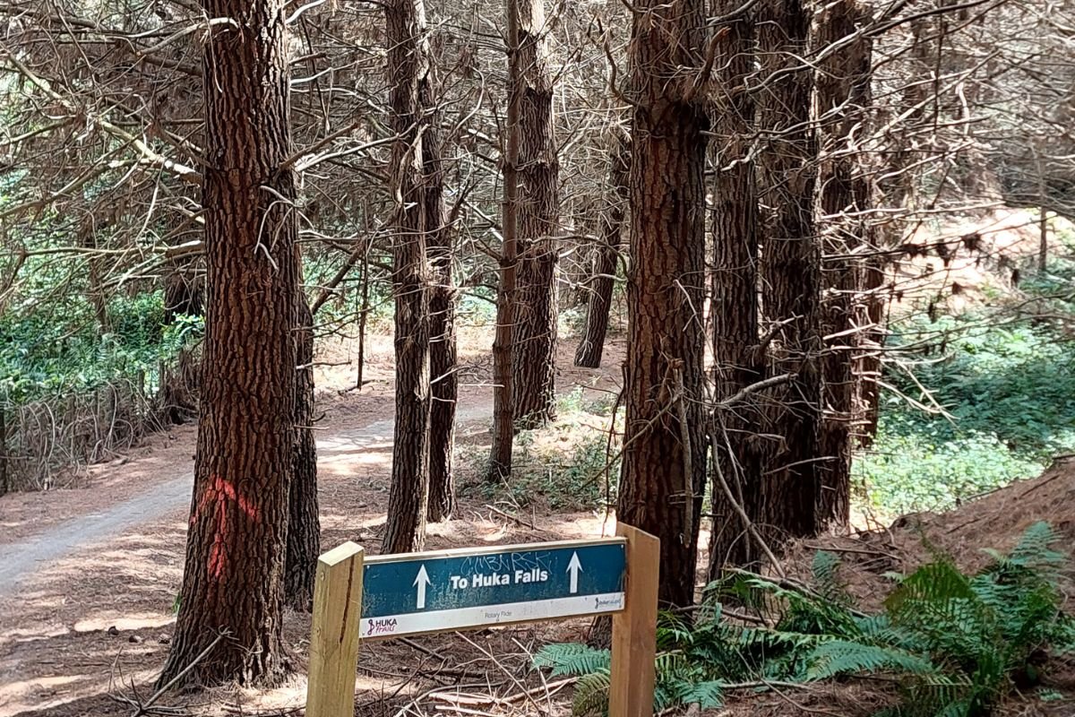 Exploring Taupō: A Spectacular Lakeside Wonderland