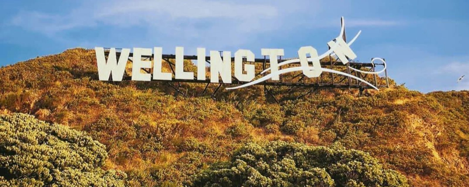 Best Motorhome Stops in the Wellington Region – Scenic Stays Near the ...