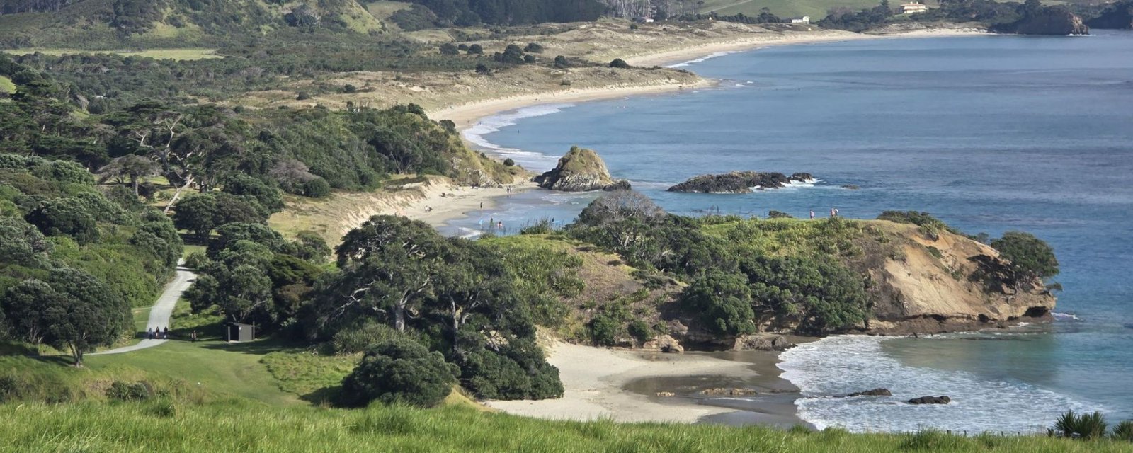 Tāwharanui Regional Park: A Day That Has It All - Tohu Travellers